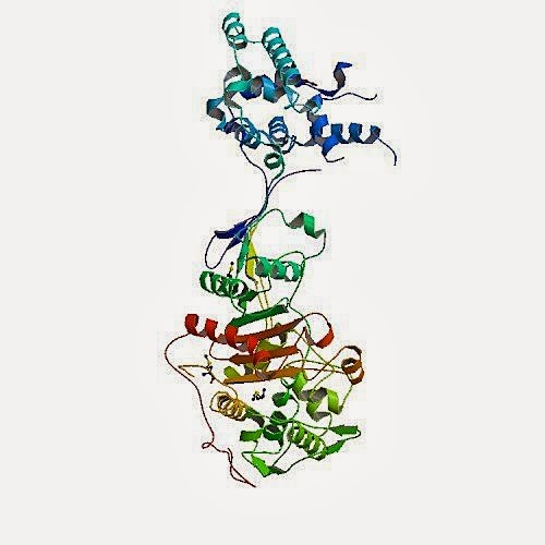 抗生素的介紹 Part III 之三：Moenomycin 與 GT 酵素之蛋白結晶關係 - 科學，就是醬